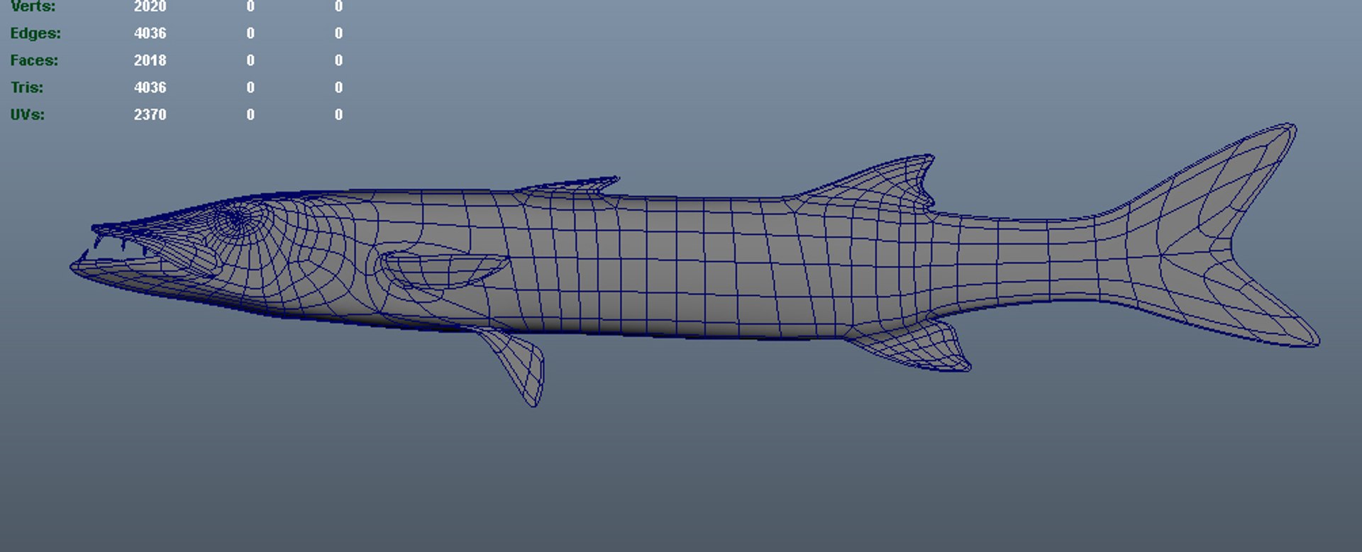 3D Barracuda Model - TurboSquid 1169617