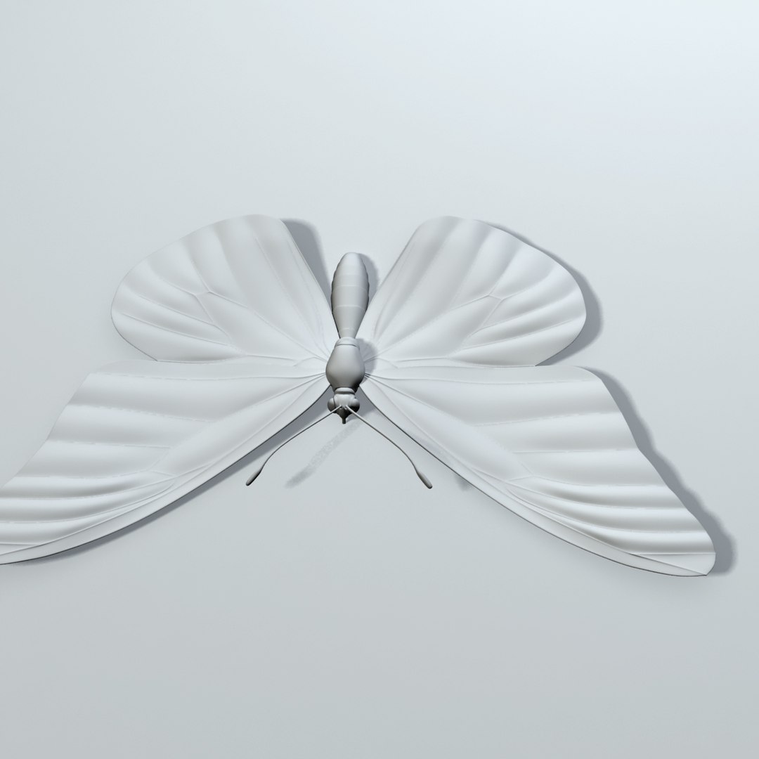 Monarch Butterfly Max