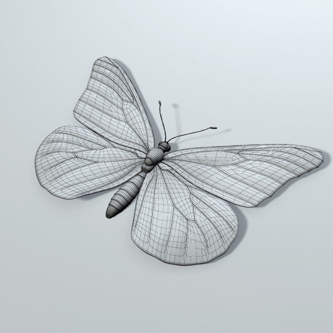 Monarch Butterfly Max