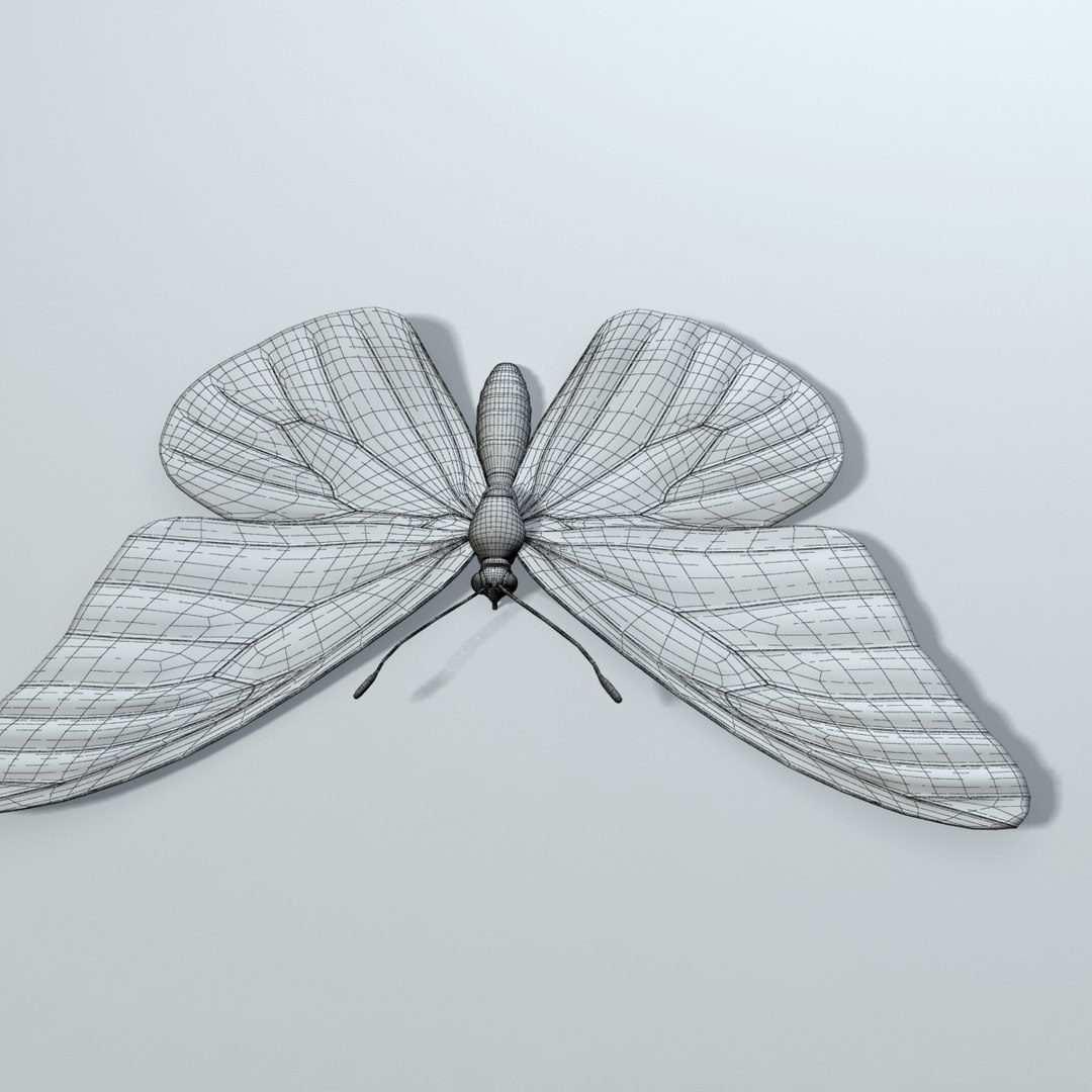 Monarch Butterfly Max