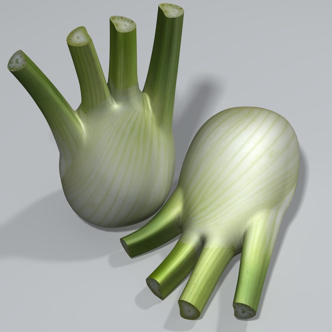 Fennel Perennial Herb 3d Model