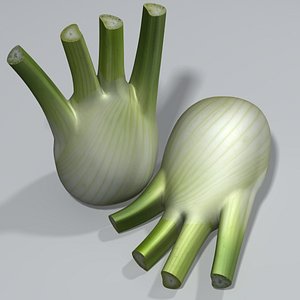 Fennel 3D Models for Download | TurboSquid