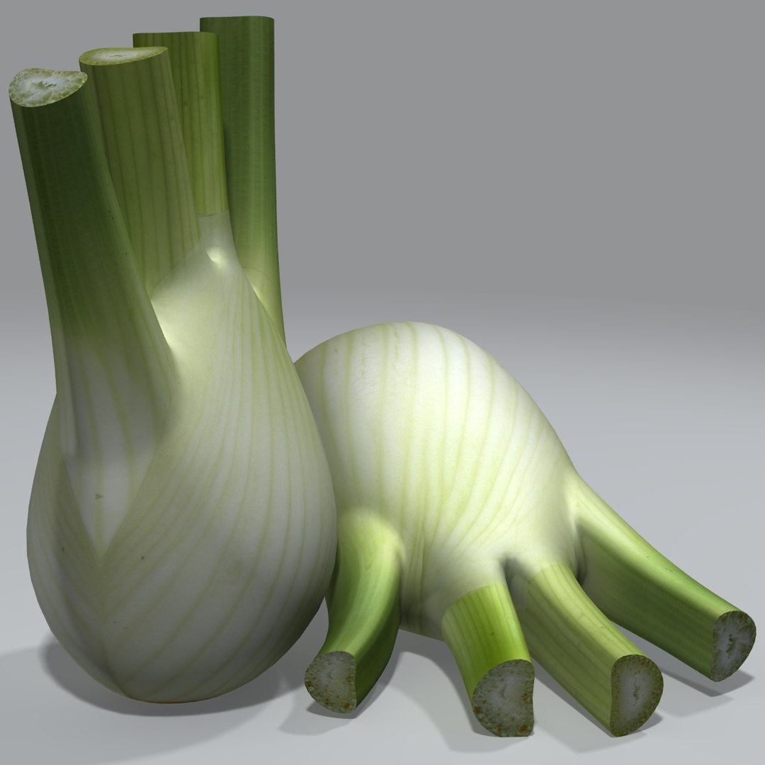 Fennel Perennial Herb 3d Model