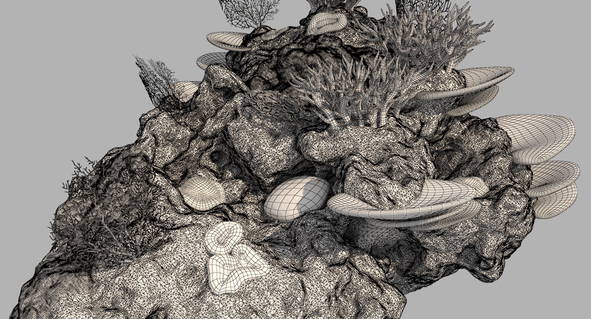 3D coral reef model - TurboSquid 1243686