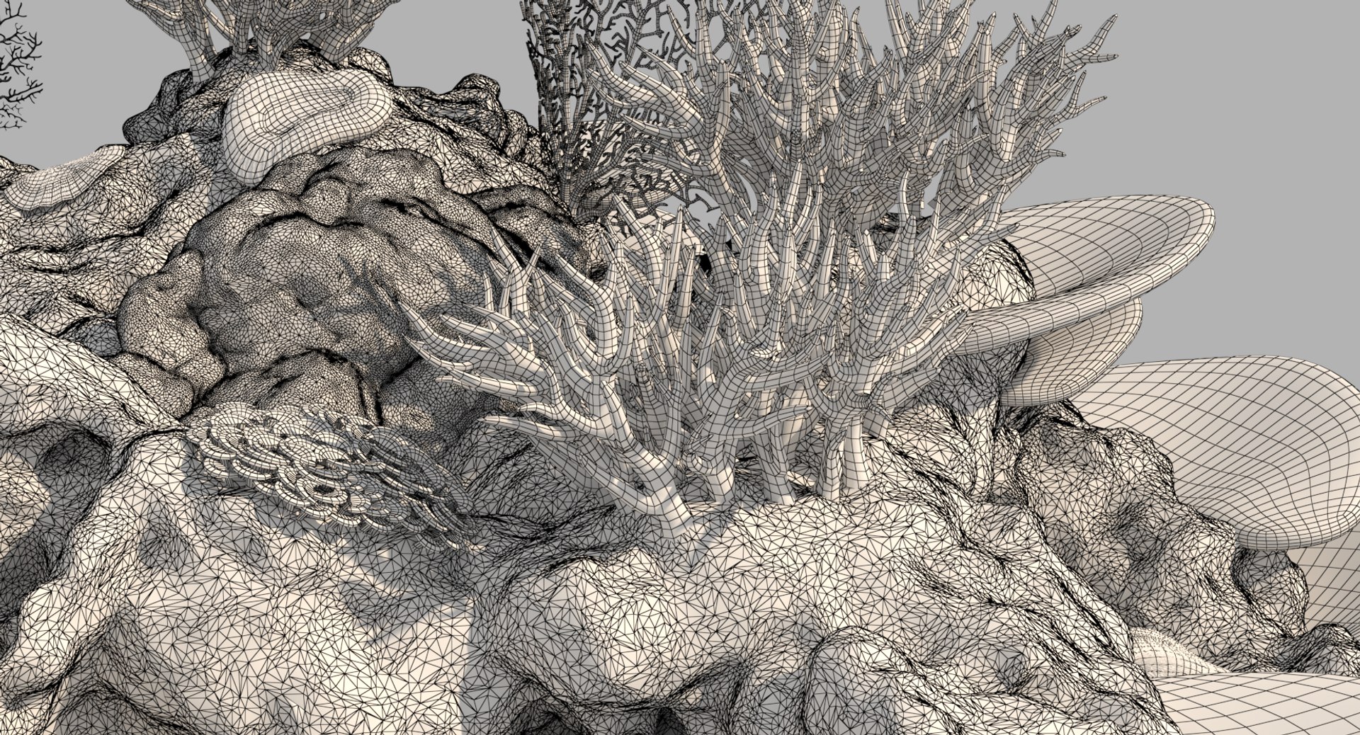 3D coral reef model - TurboSquid 1243686