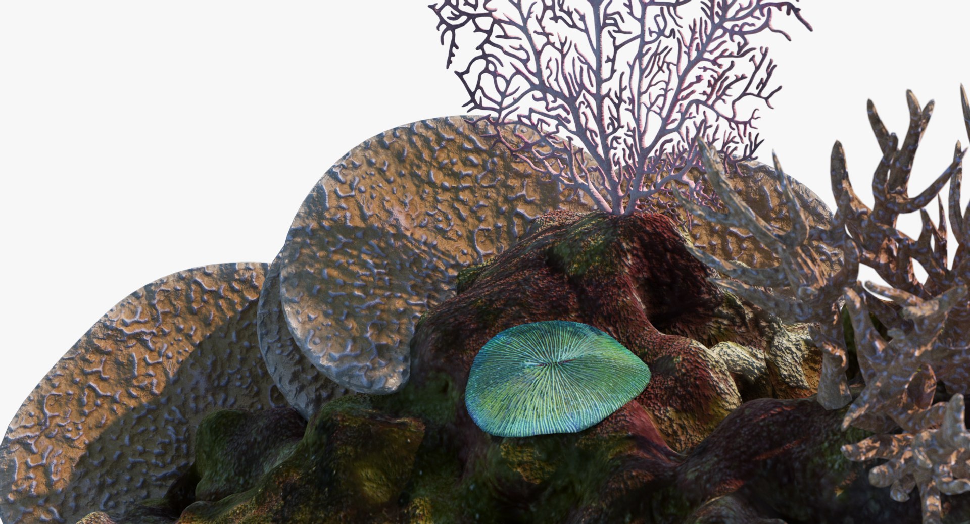 3D coral reef model - TurboSquid 1243686
