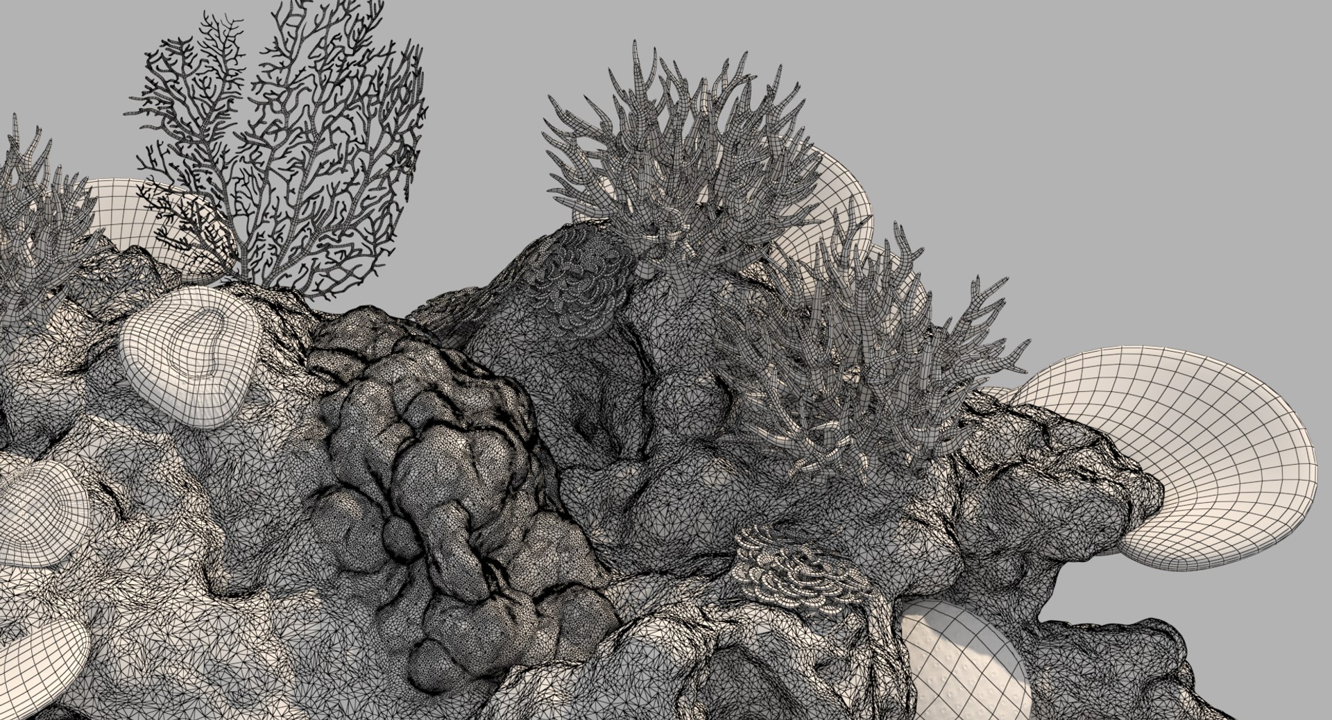 3D coral reef model - TurboSquid 1243686