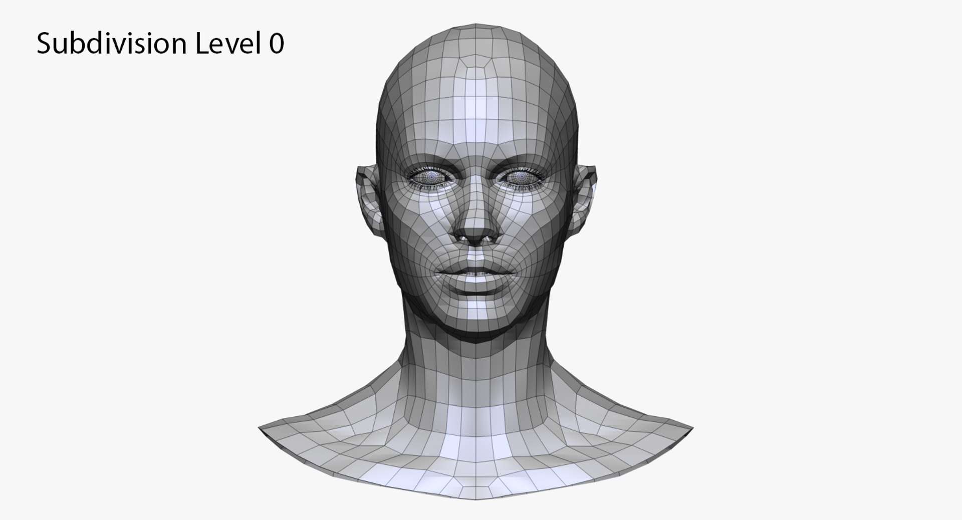 Realistic White Female Head 3d Model