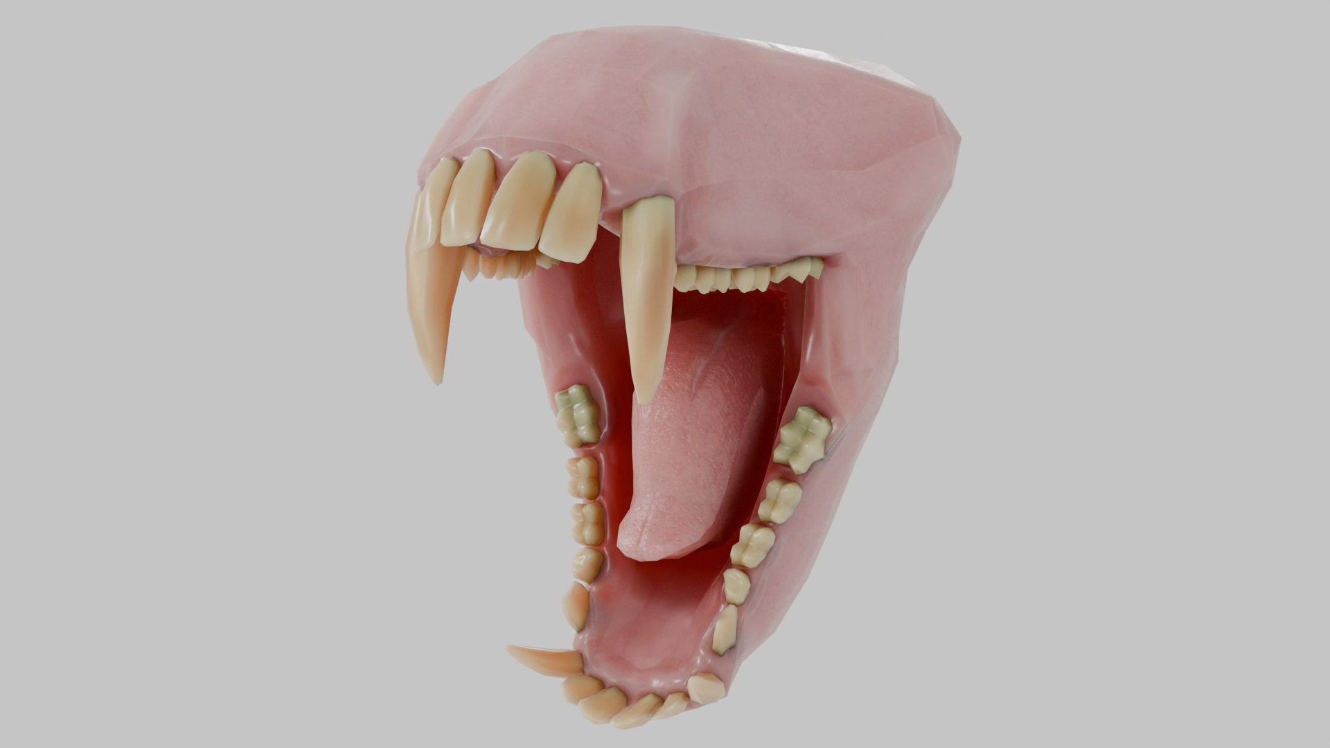 3D Model Monkey Macaque Teeth - TurboSquid 2436366