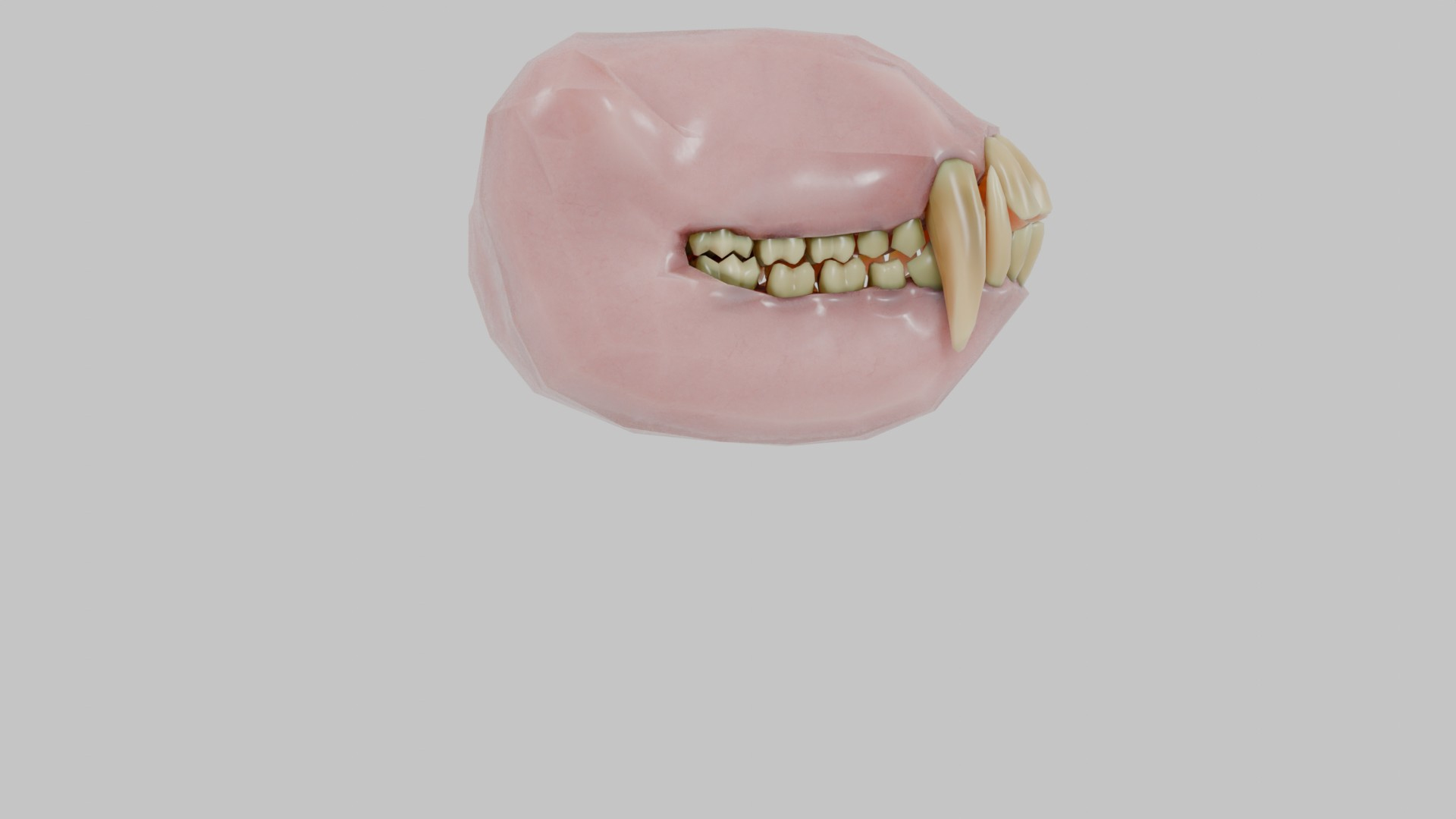 3D Model Monkey Macaque Teeth - TurboSquid 2436366