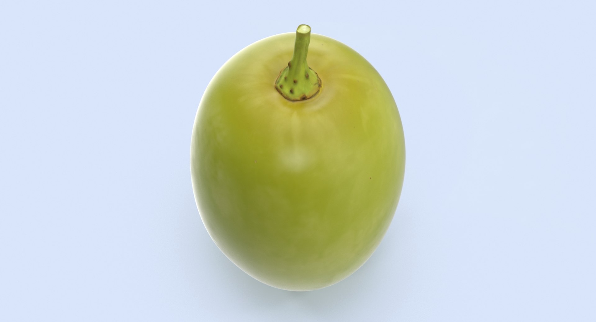 single green grape