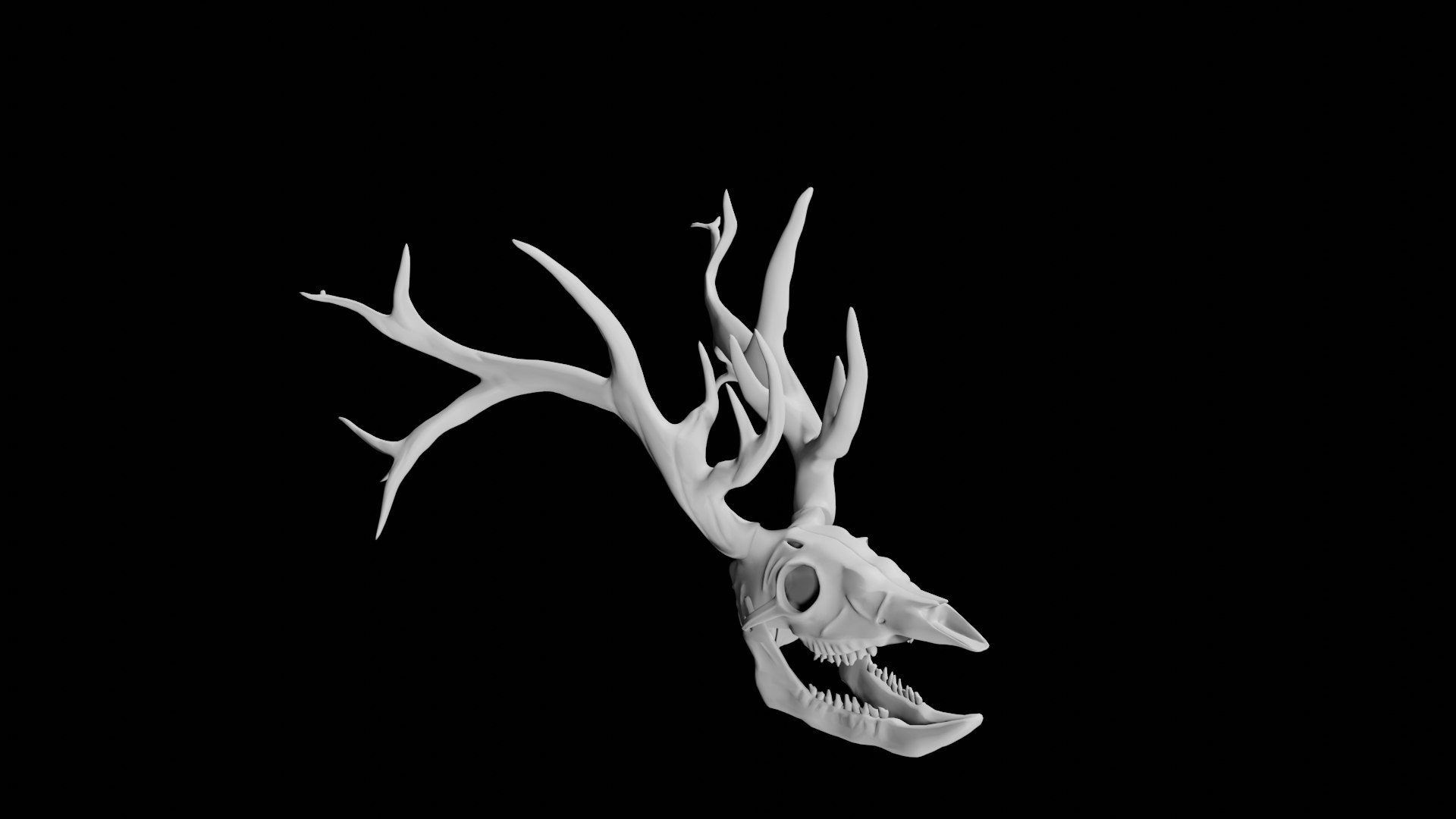 3D Deer Skull Model - TurboSquid 1856391