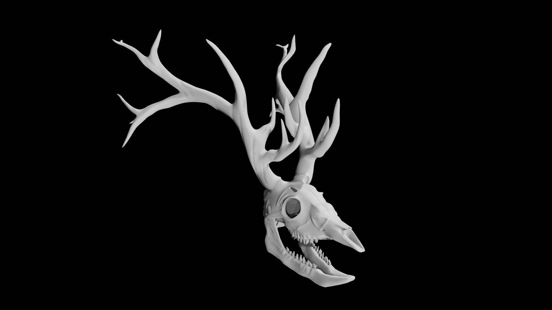 3D Deer Skull Model - TurboSquid 1856391