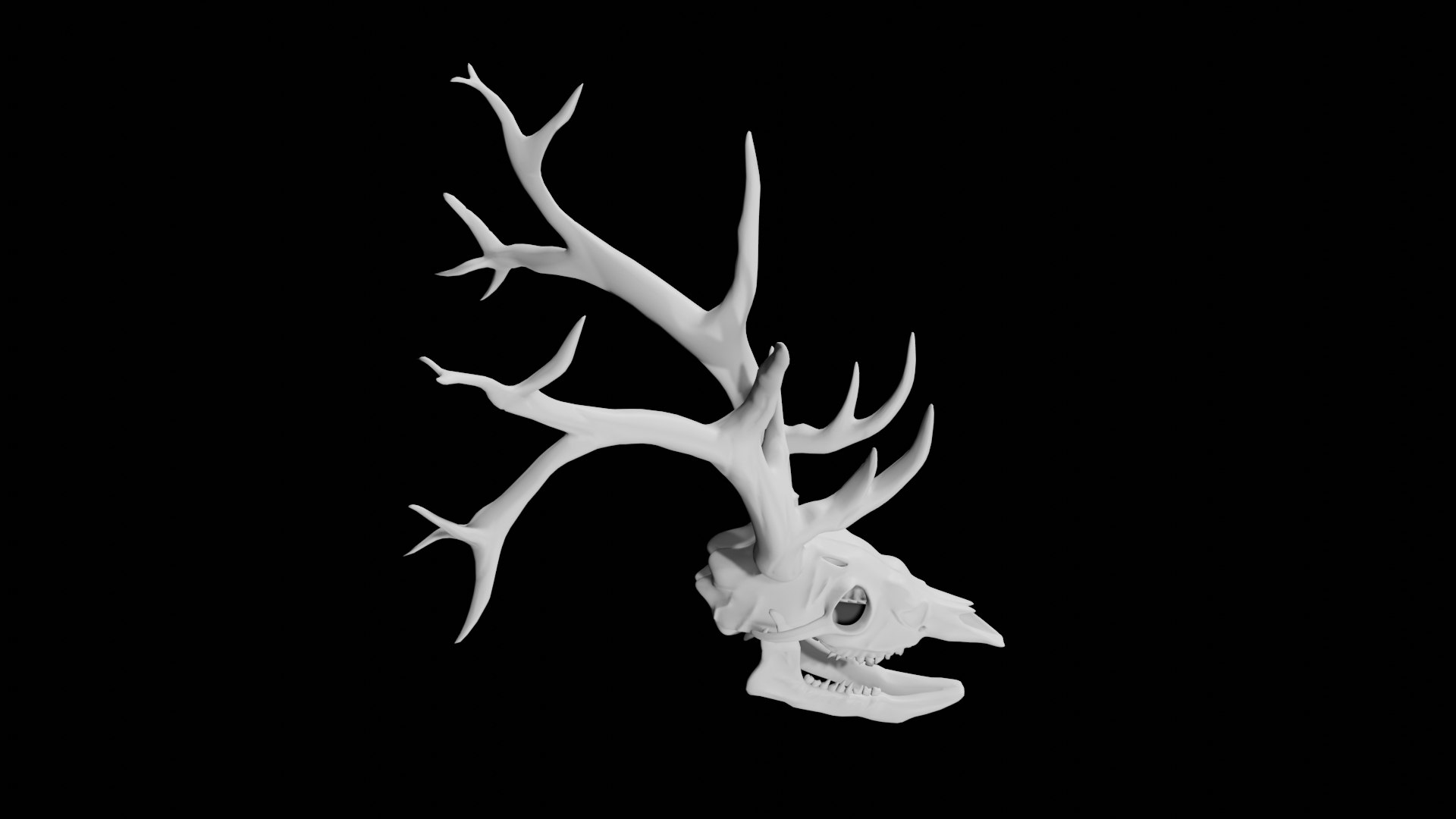 3D Deer Skull Model - TurboSquid 1856391