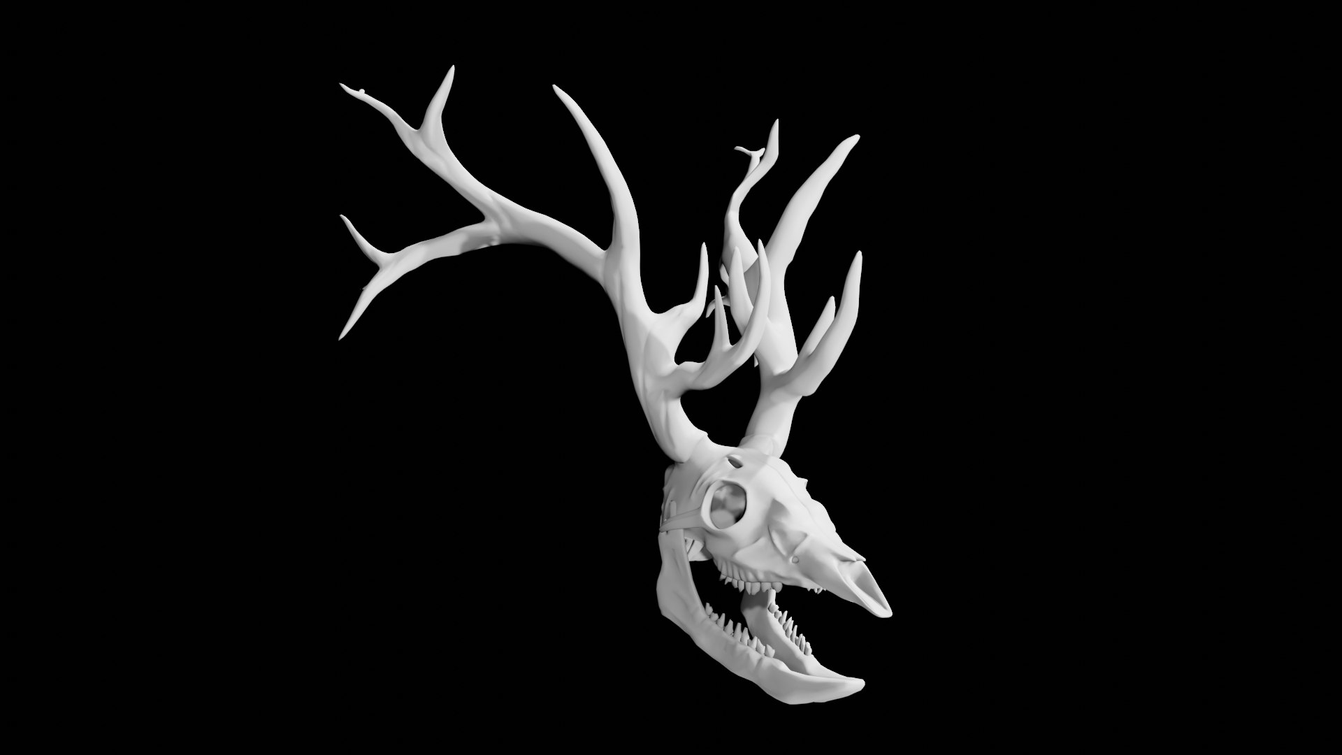 3D Deer Skull Model - TurboSquid 1856391