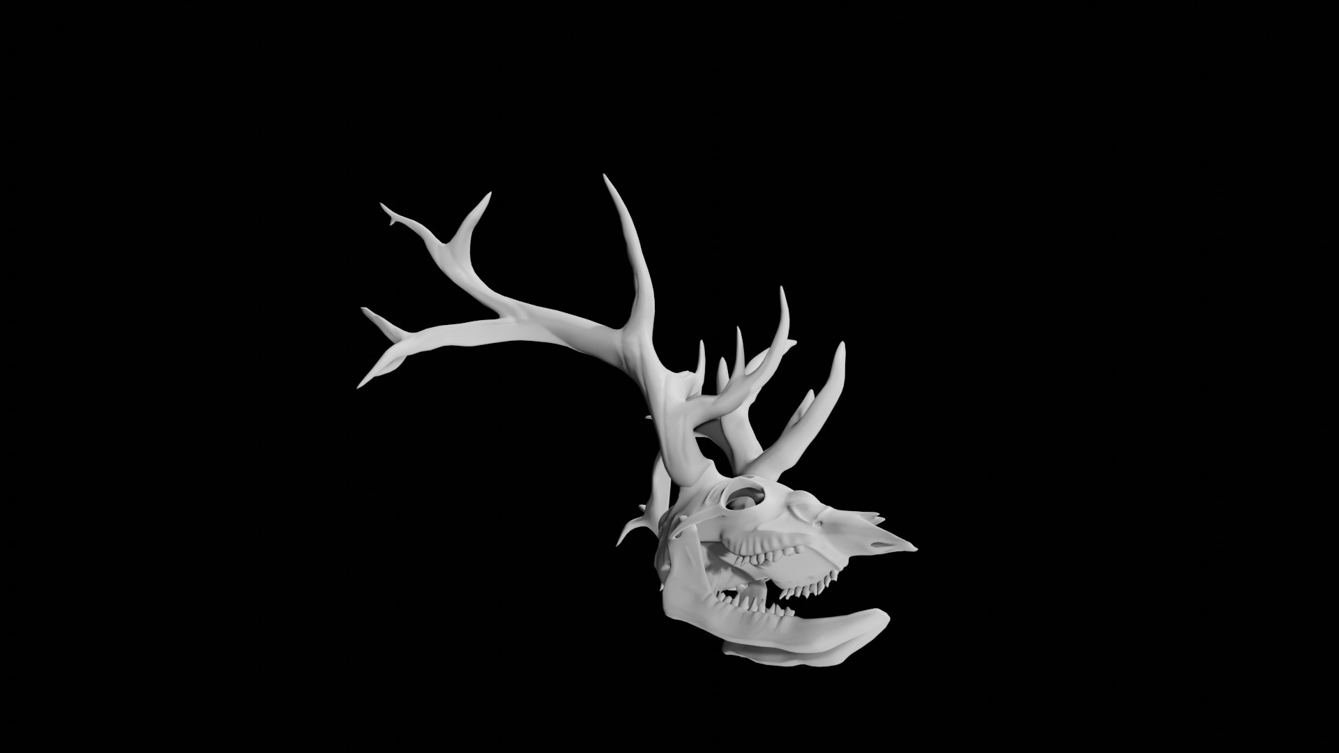 3D Deer Skull Model - TurboSquid 1856391