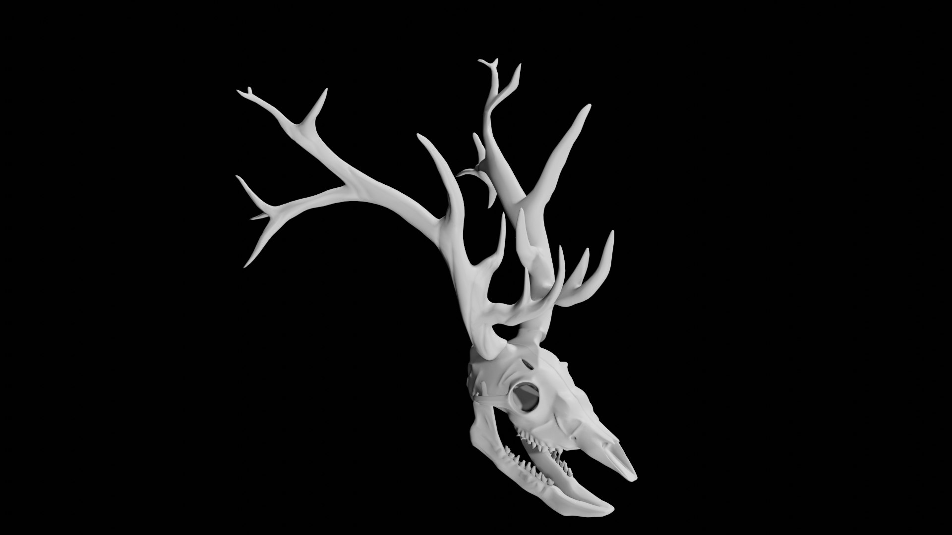 3D Deer Skull Model - TurboSquid 1856391
