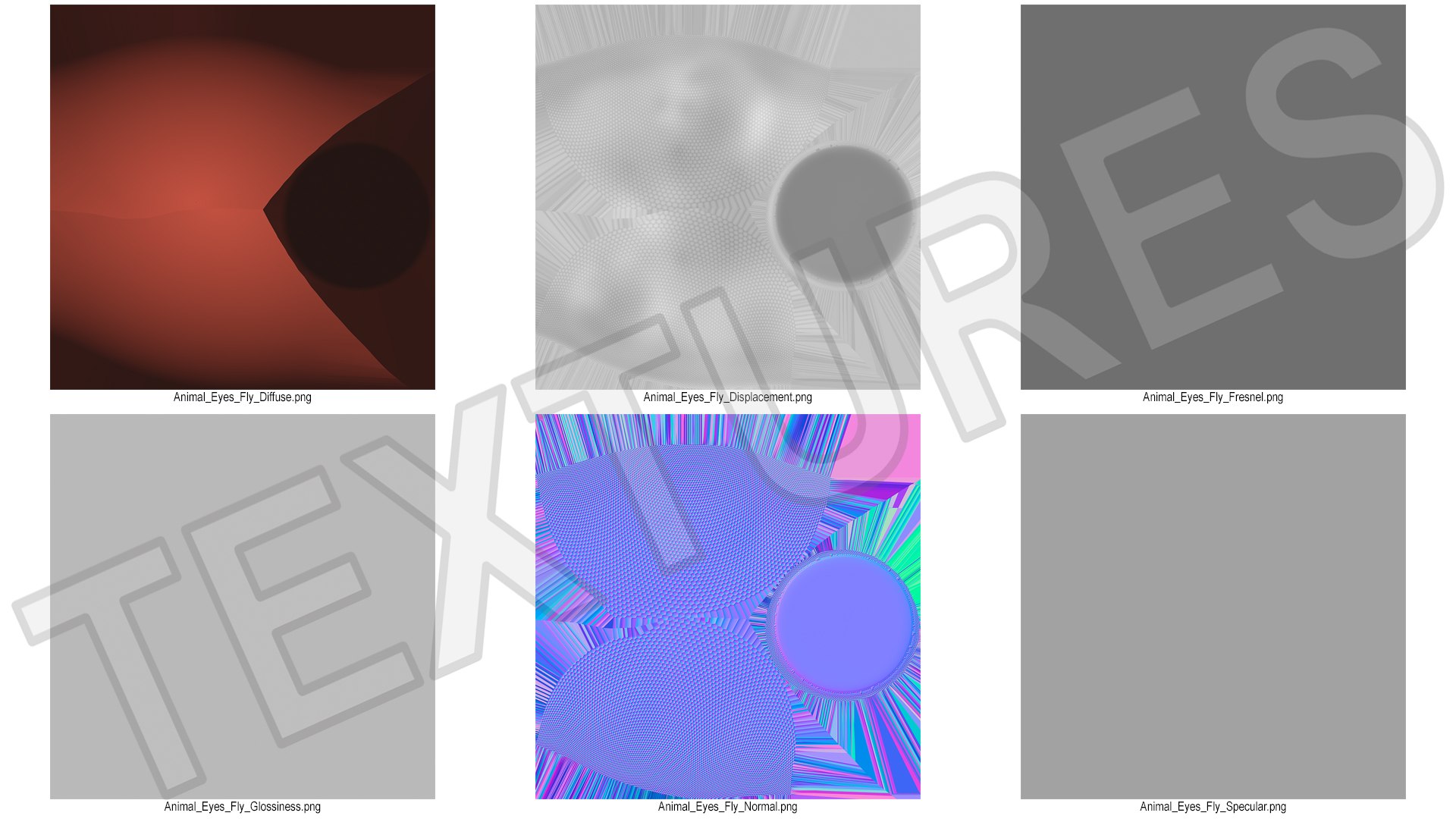 Realistic Facet Eye Of Fly 3D - TurboSquid 2194830