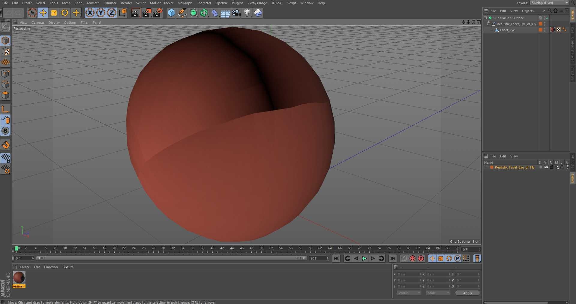 Realistic Facet Eye Of Fly 3D - TurboSquid 2194830