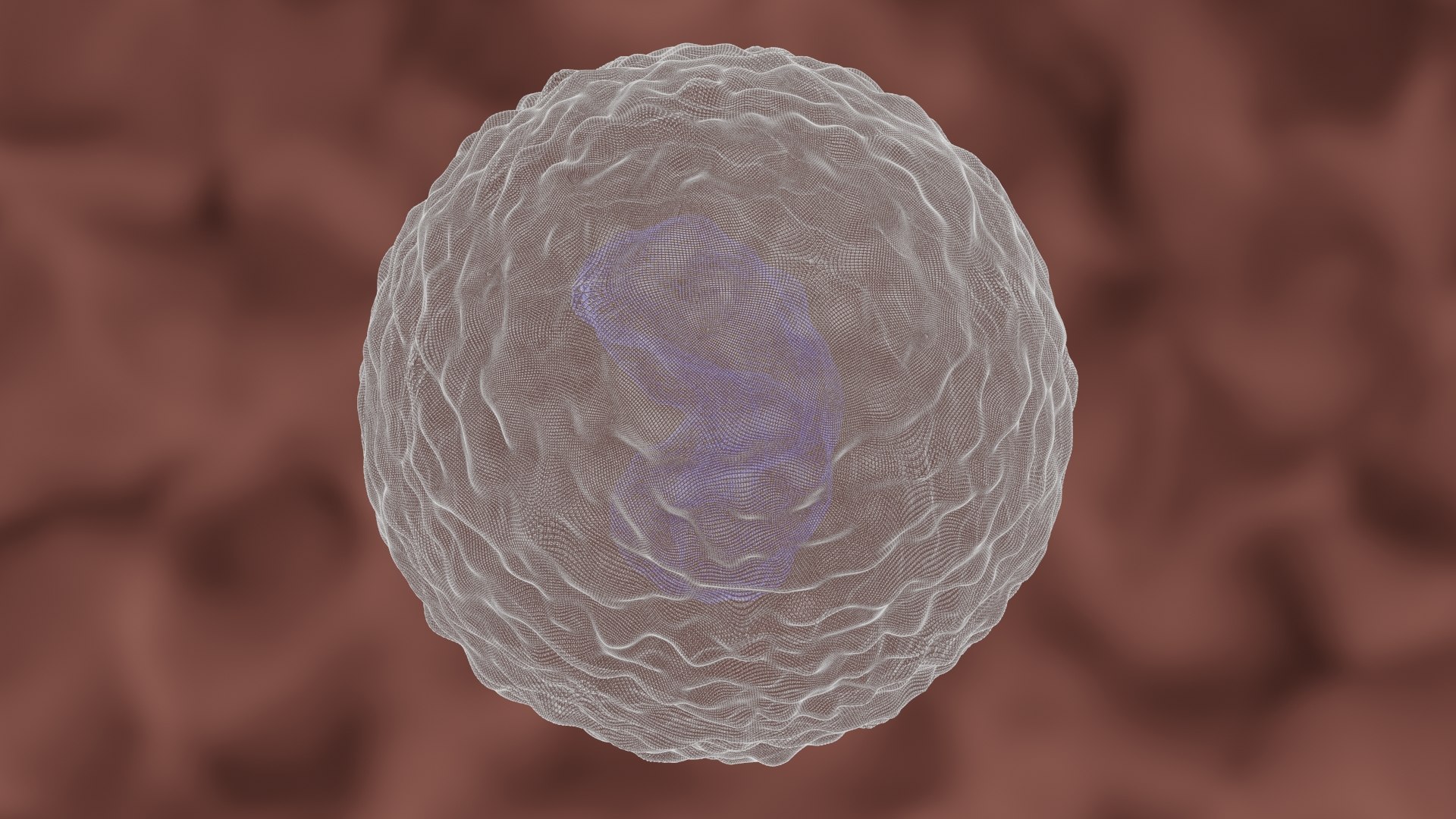 Monocyte Cell 3D - TurboSquid 1707774