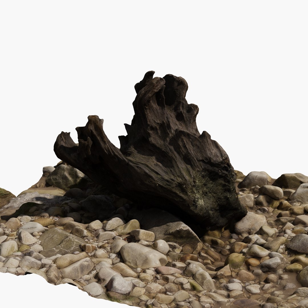 3d Scan Dead Trunk 01