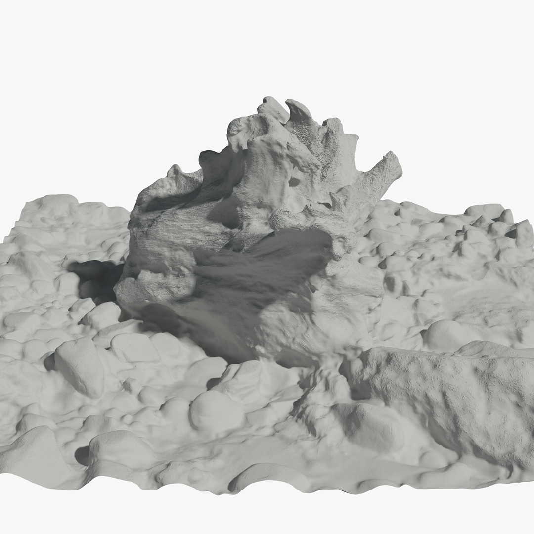 3d Scan Dead Trunk 01