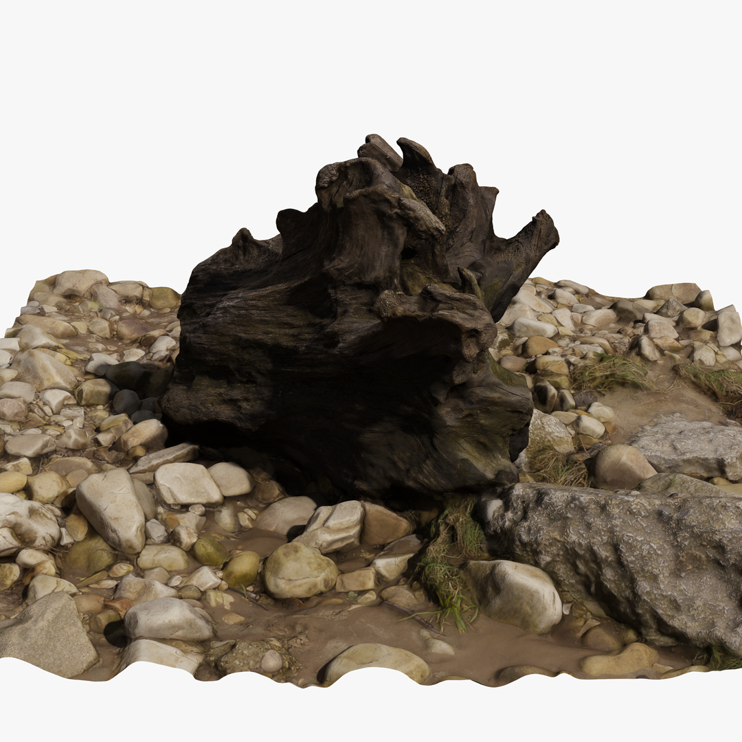 3d Scan Dead Trunk 01