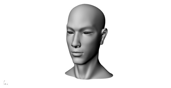 Superficial Anatomy SketchUp Models for Download | TurboSquid
