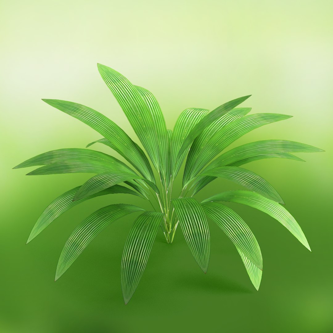 3D palm grass - TurboSquid 1160300
