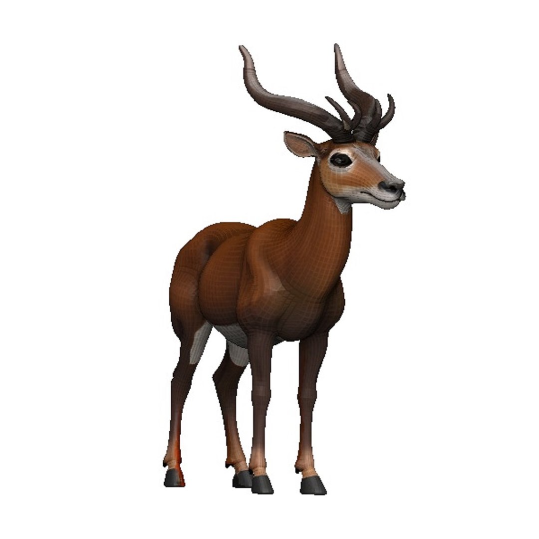 Okapi Model - TurboSquid 2435208