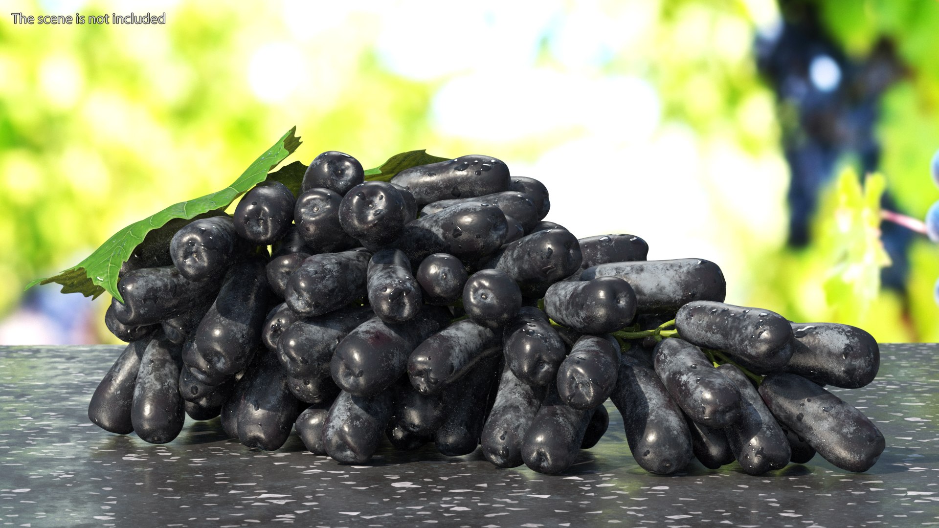 Wet Grape Lady Finger Sweet Sapphire Lying 3D Model - TurboSquid 2202049