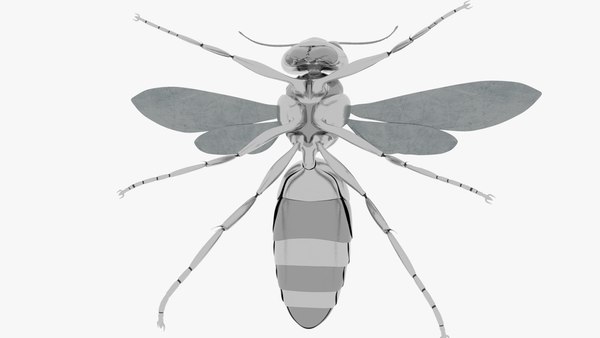 Robot wasp 3D - TurboSquid 1707598