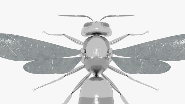 Robot wasp 3D - TurboSquid 1707598
