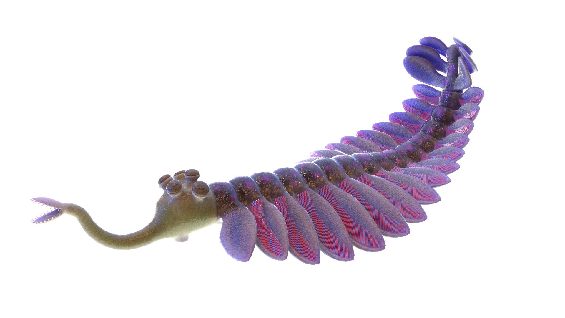 3D Opabinia Animated - TurboSquid 1783888