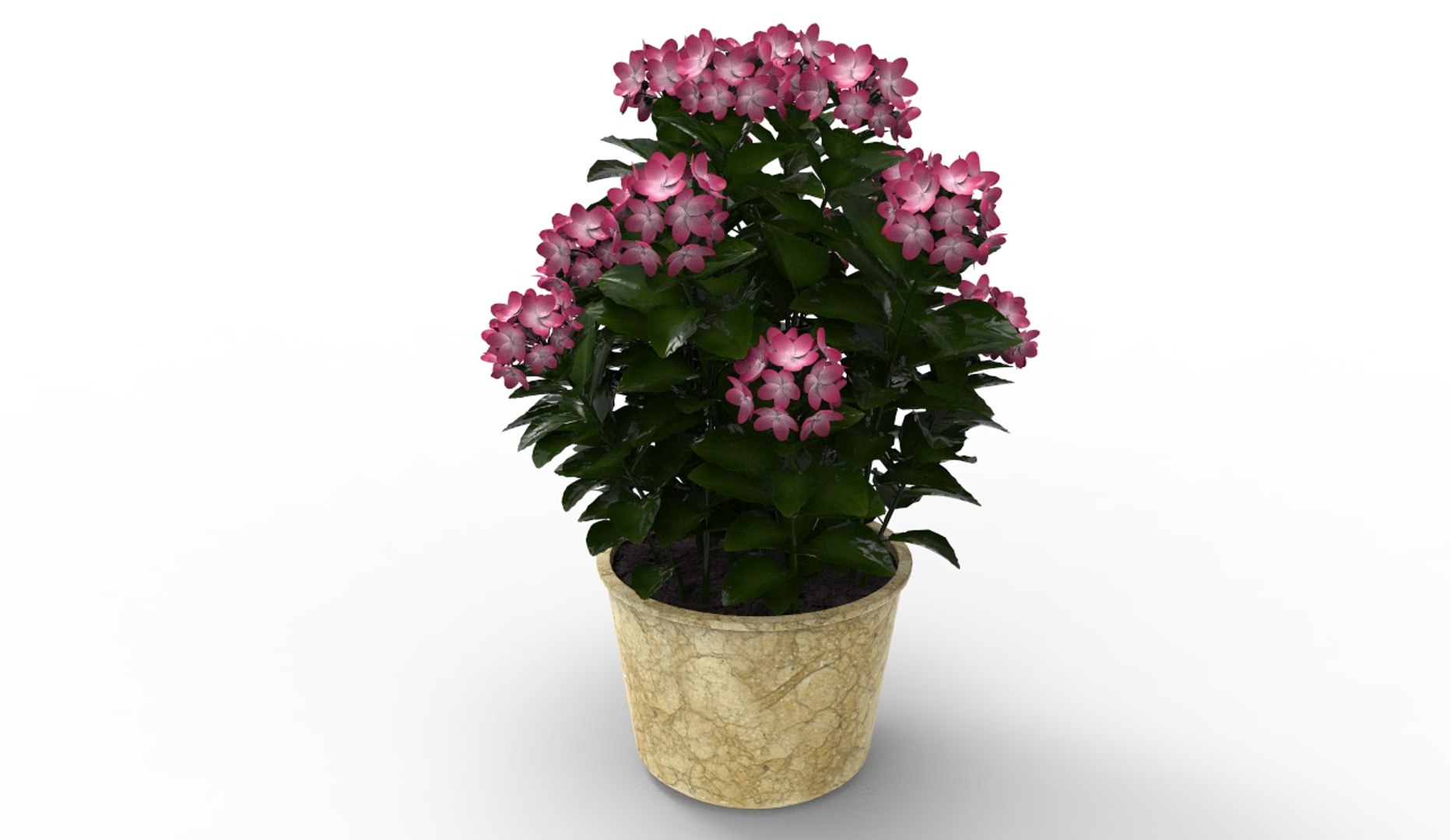 3D Flower Pot Model - TurboSquid 1520305