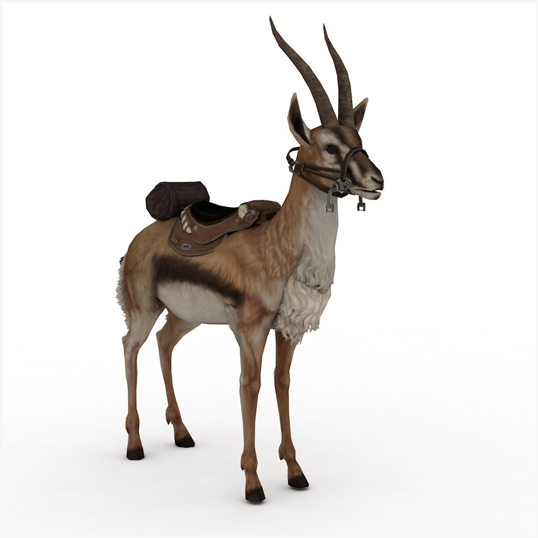 Gazelle Model - TurboSquid 2391551