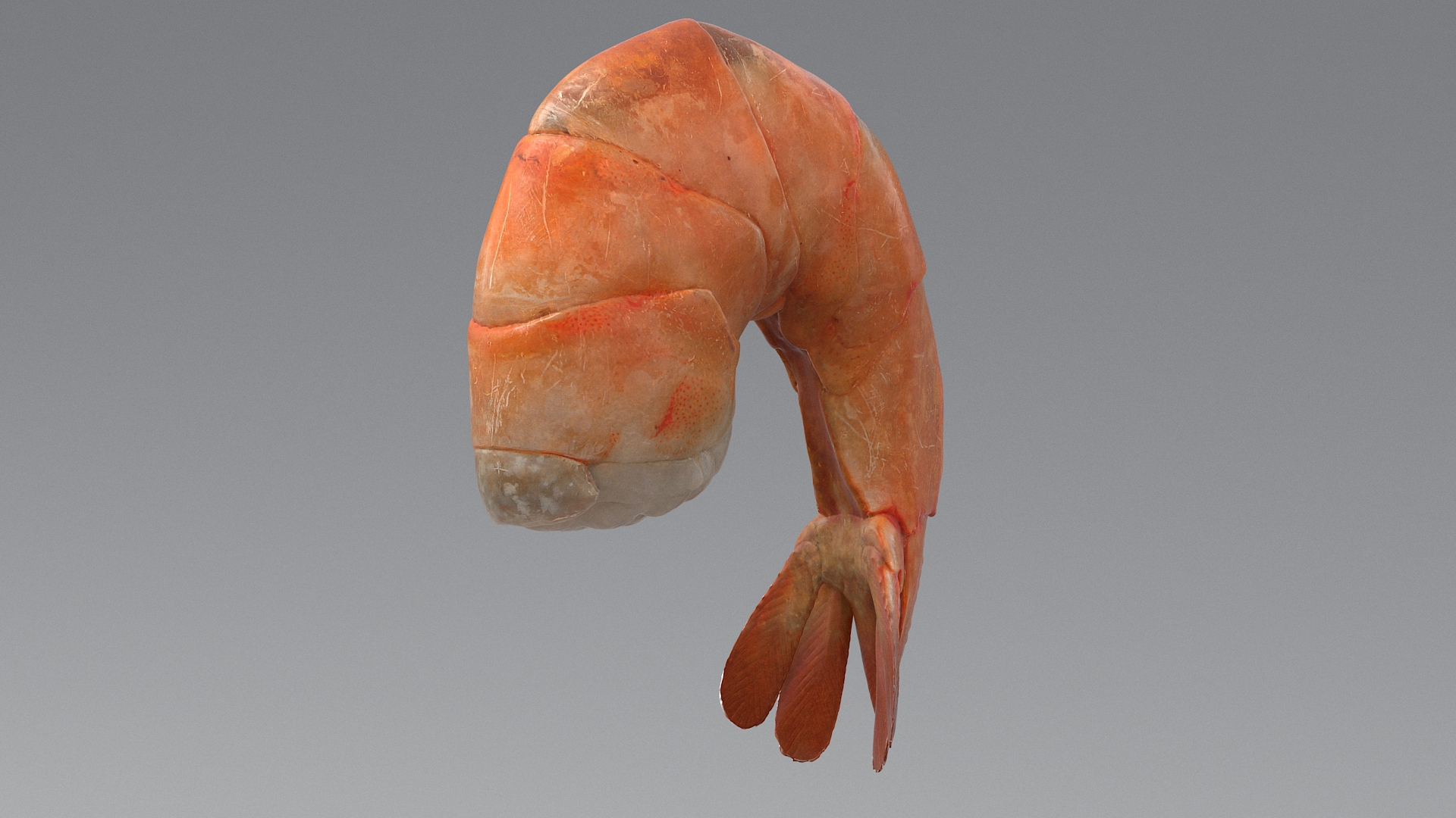Realistic Shrimp 3D Model - TurboSquid 1801198