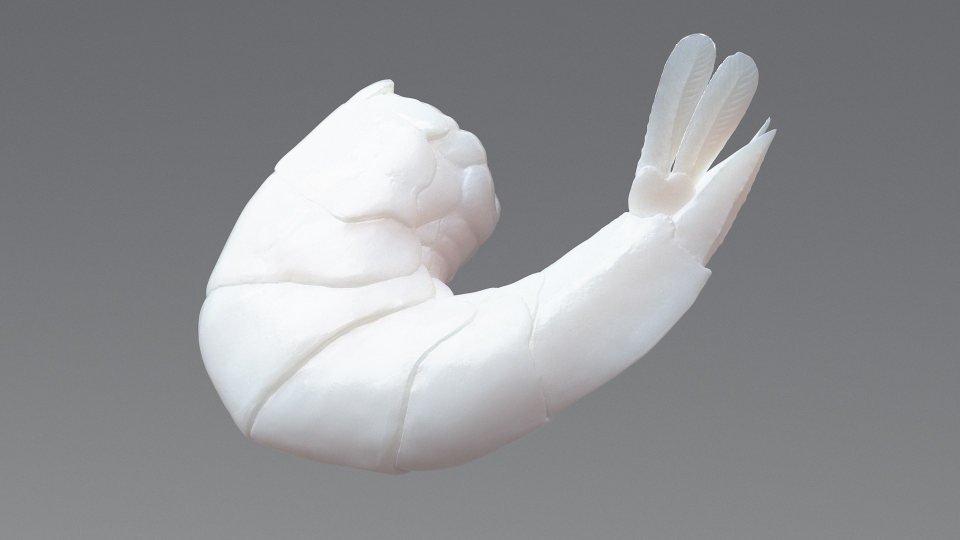 Realistic Shrimp 3D Model - TurboSquid 1801198