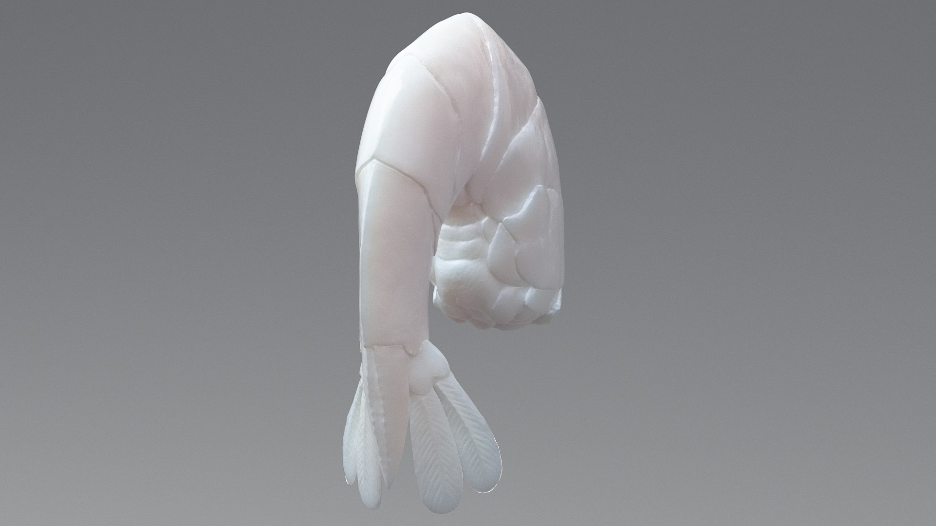 Realistic Shrimp 3D Model - TurboSquid 1801198