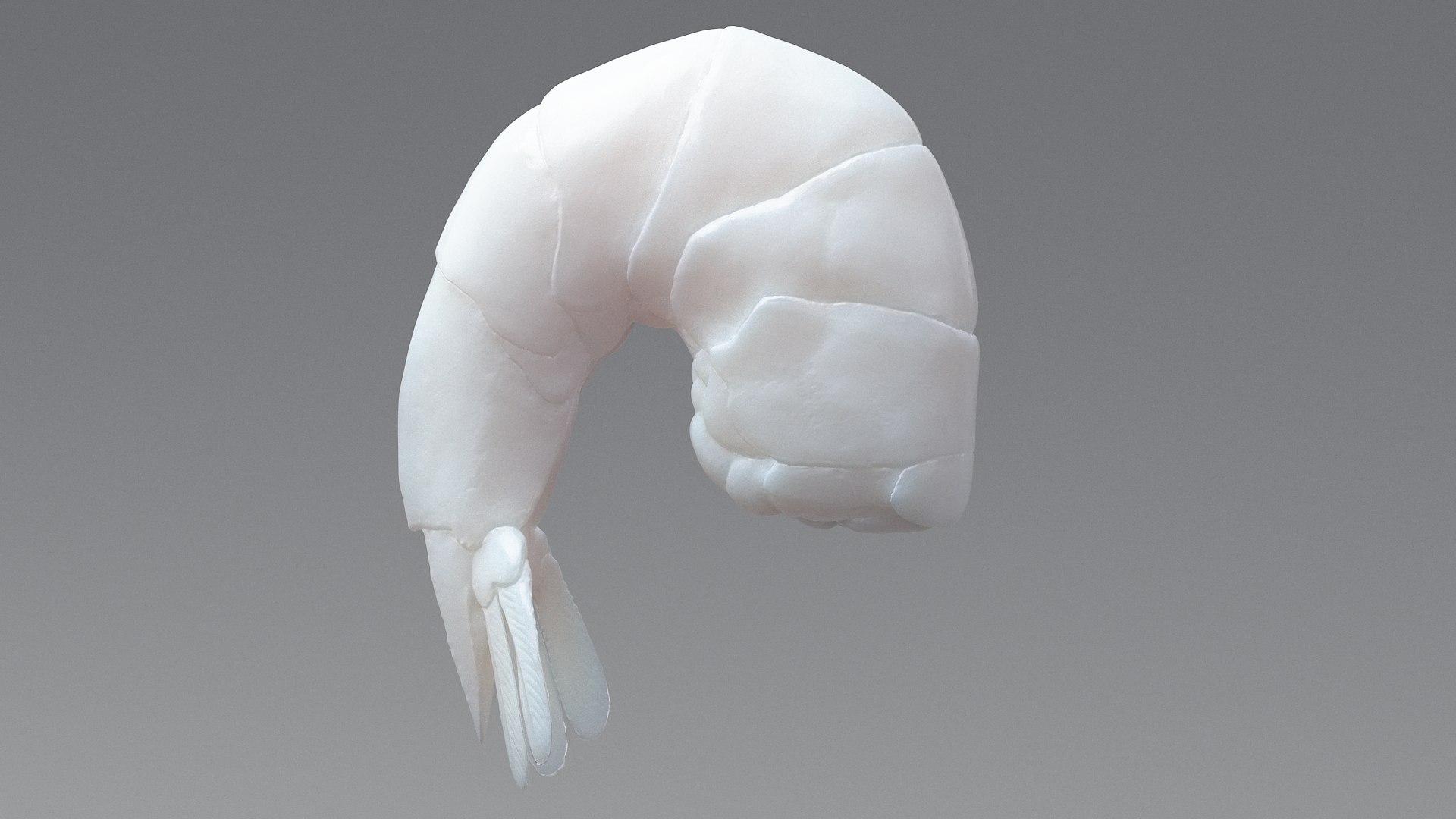 Realistic Shrimp 3D Model - TurboSquid 1801198