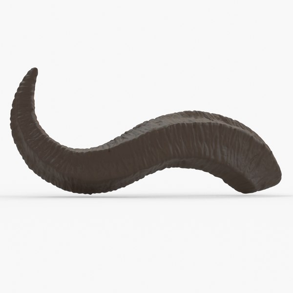 3D Large Wavy Horns - Kolsun - TurboSquid 1794263
