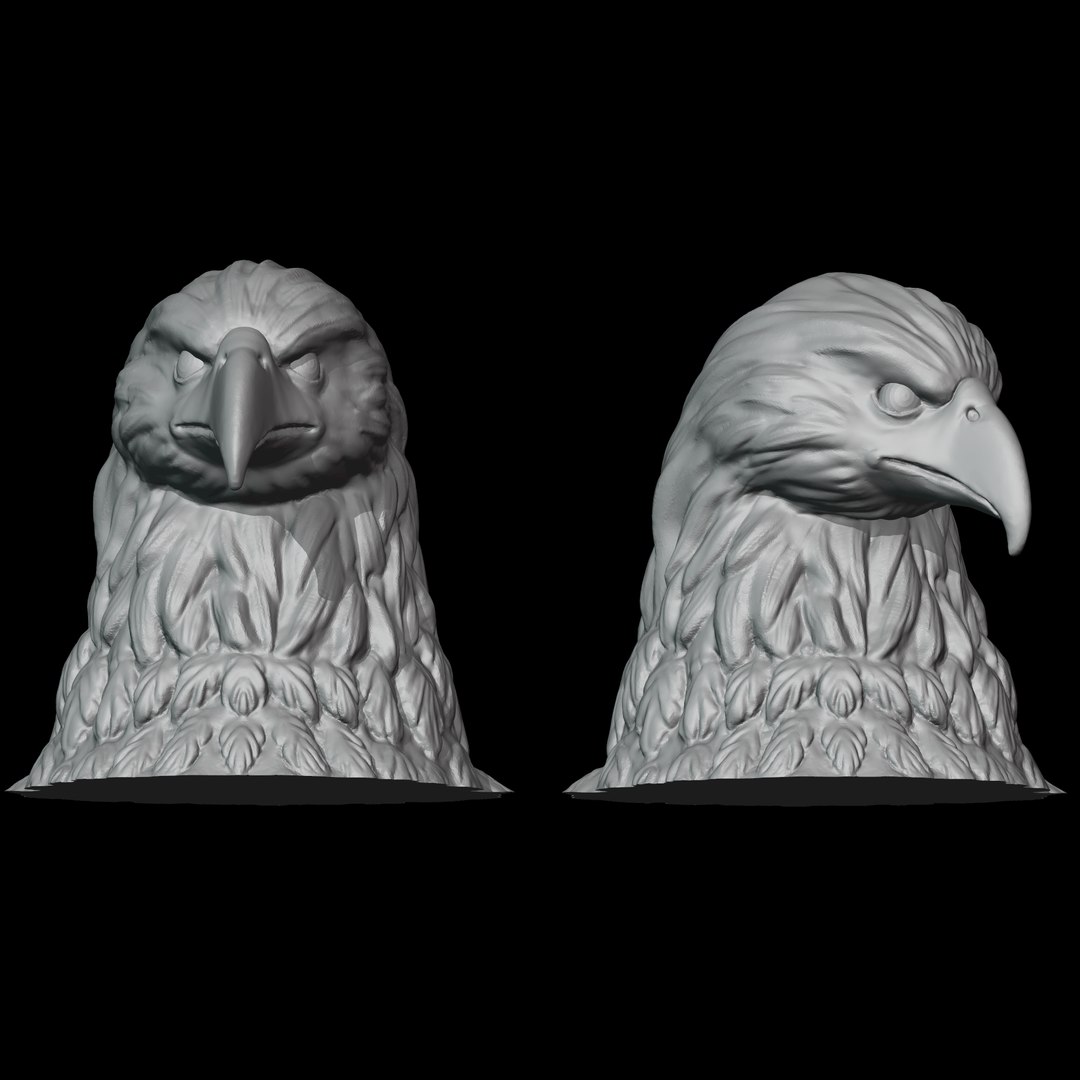 3D Bald Eagle Bust - TurboSquid 1351070