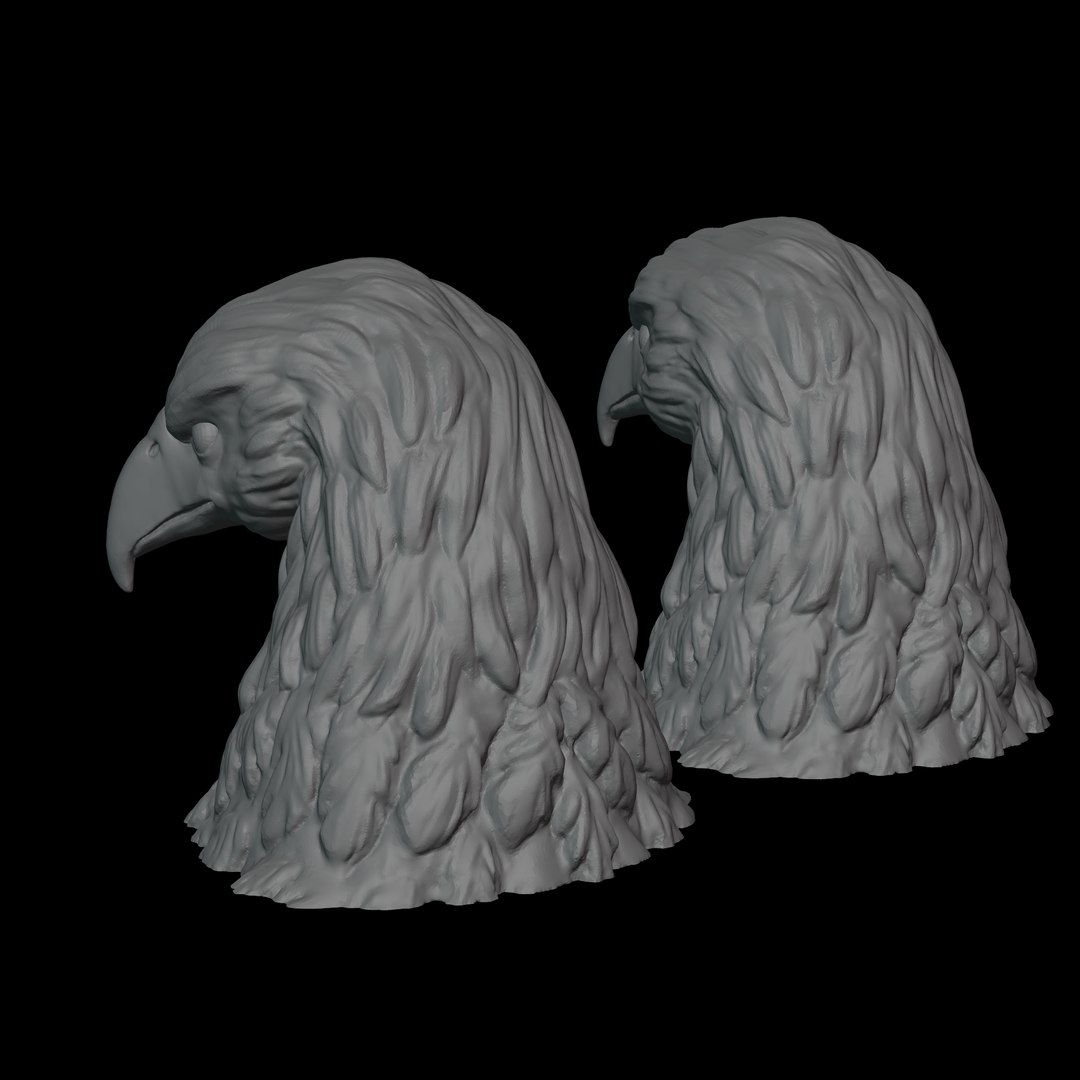 3D Bald Eagle Bust - TurboSquid 1351070