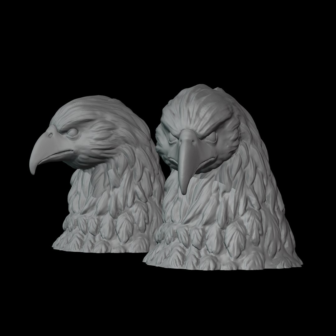 3D Bald Eagle Bust - TurboSquid 1351070