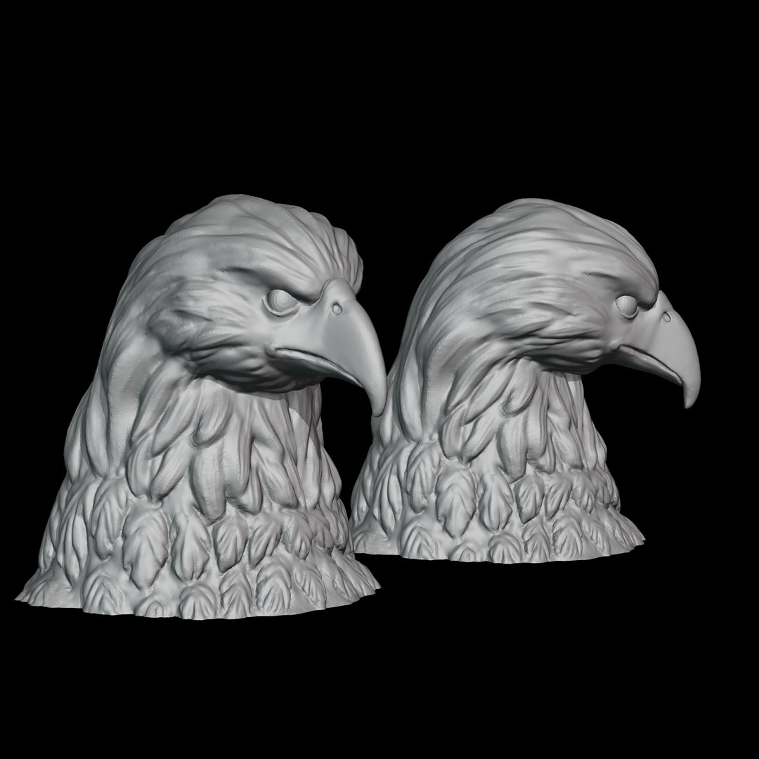 3D Bald Eagle Bust - TurboSquid 1351070