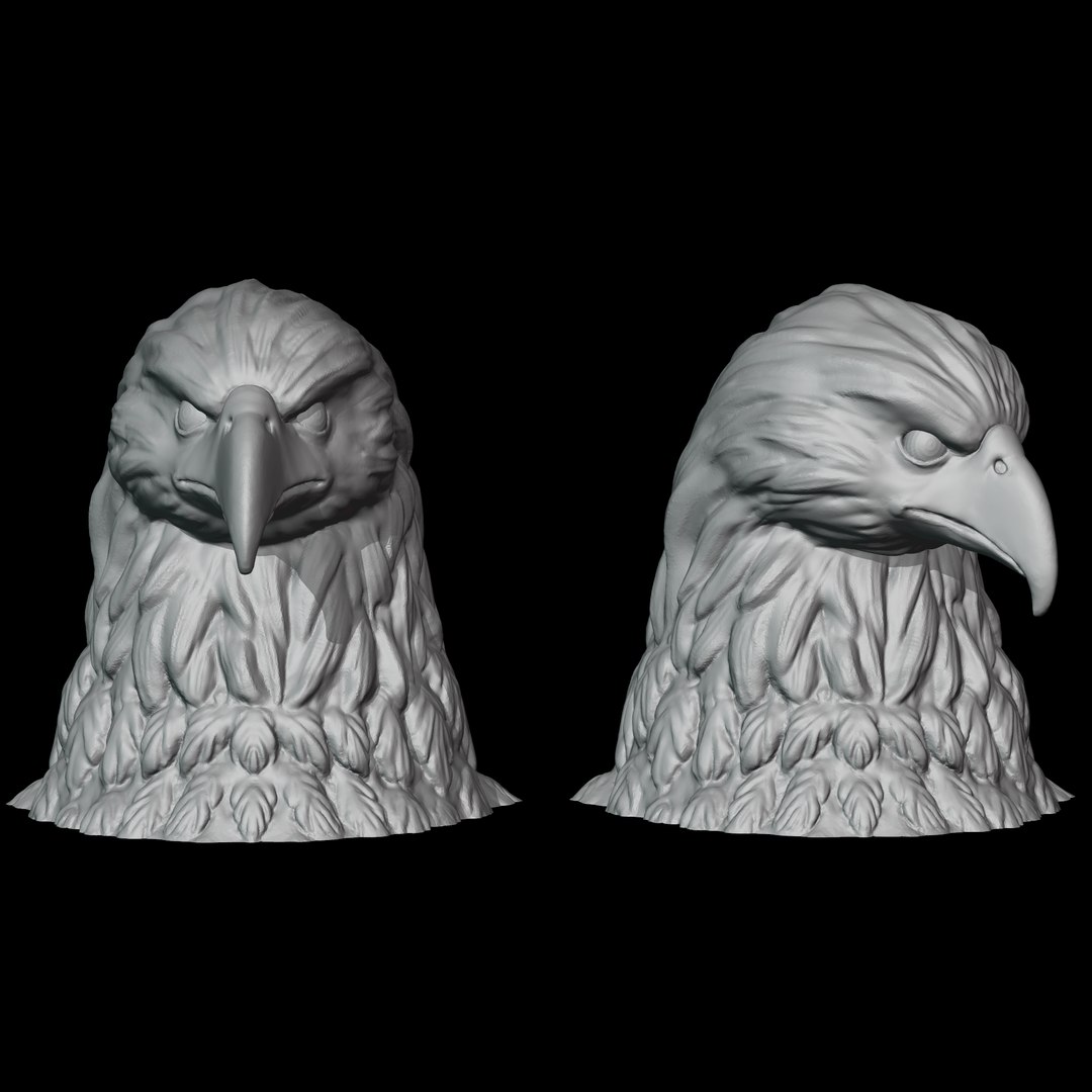 3D Bald Eagle Bust - TurboSquid 1351070