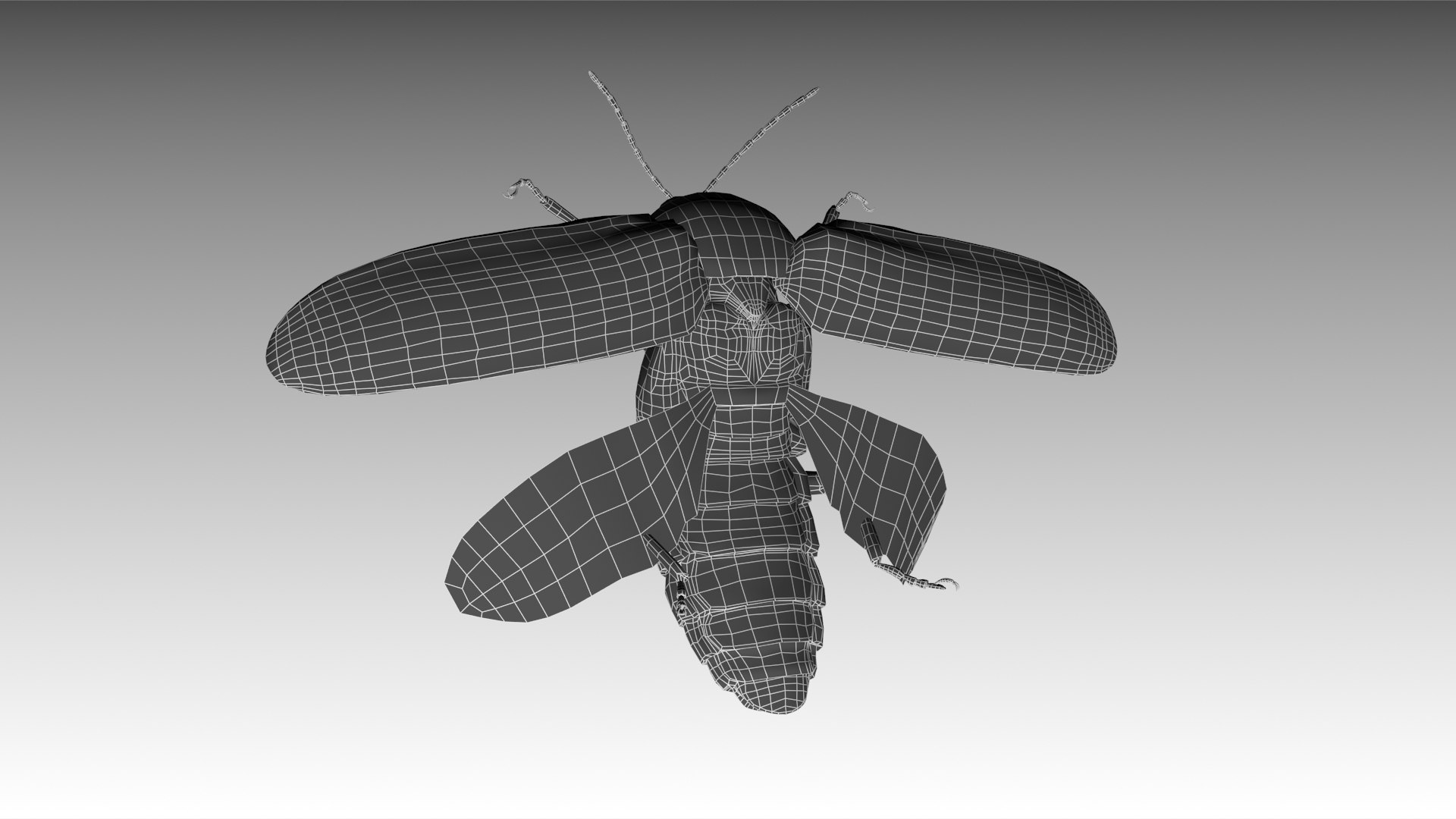 Firefly Fly 3D Model - TurboSquid 1552933