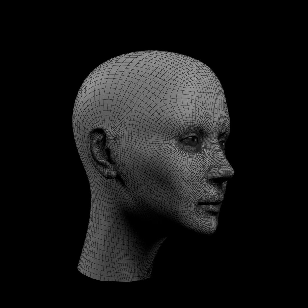 3d Basemesh Female Head Mesh Character