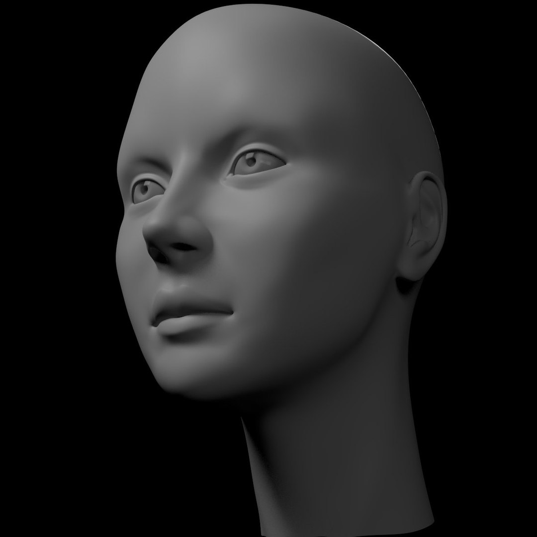 3d Basemesh Female Head Mesh Character