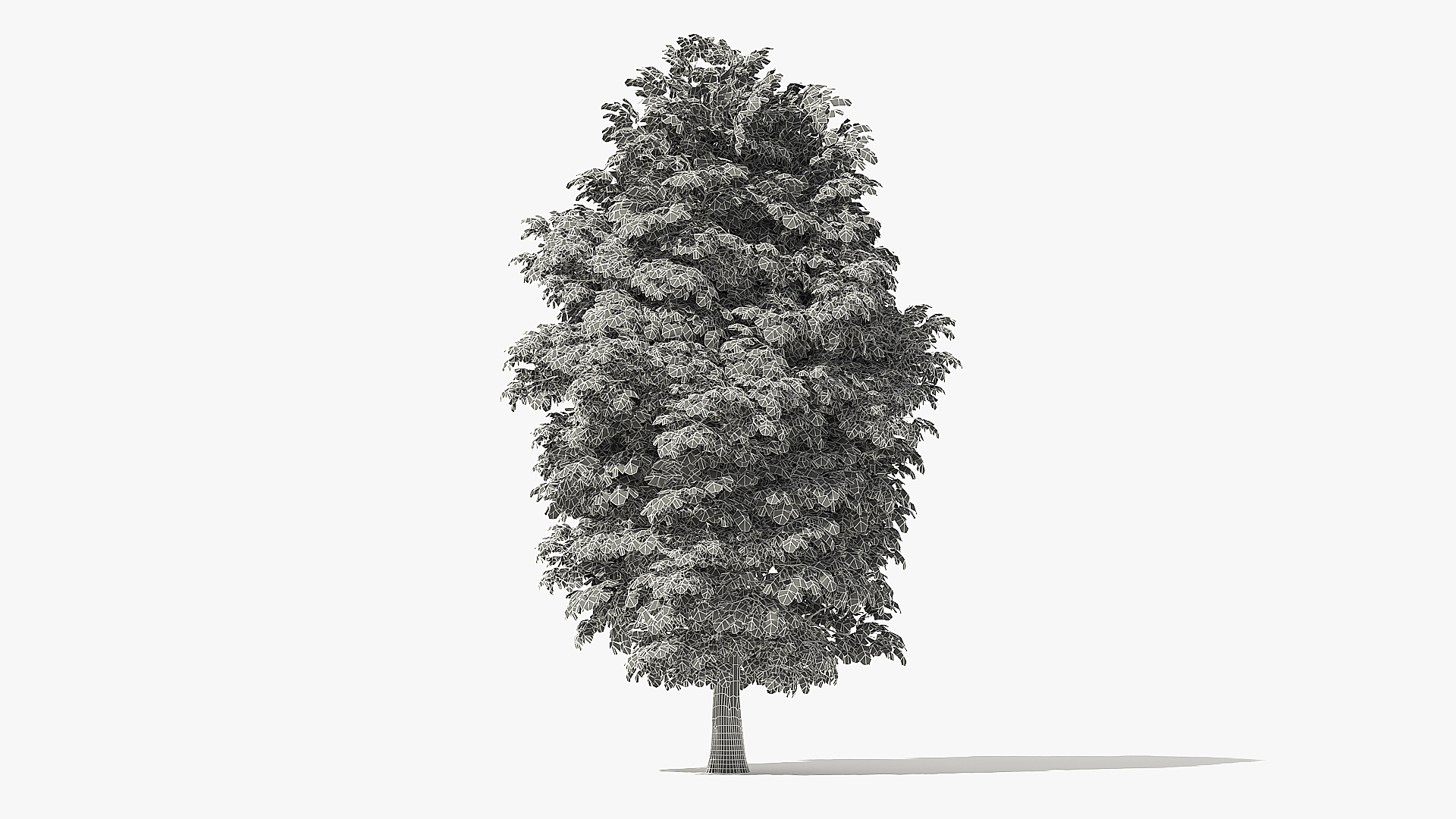 Autumn Rock Elm Tree Model - TurboSquid 1464528